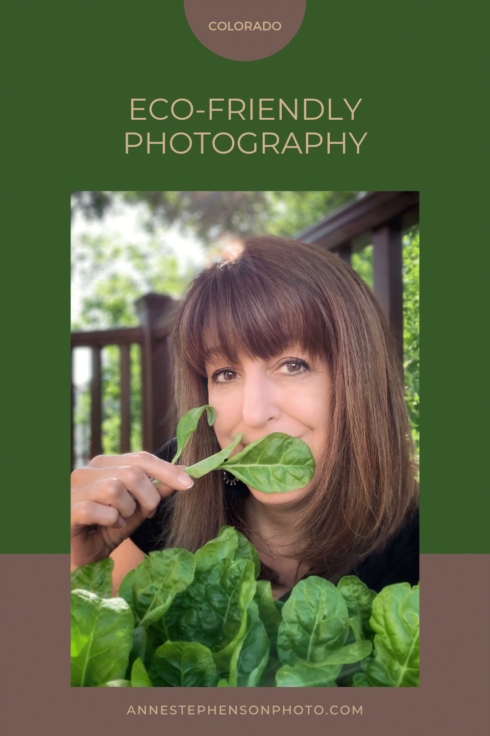 Eco-Friendly Photography - Anne Stephenson Photo & Narrative