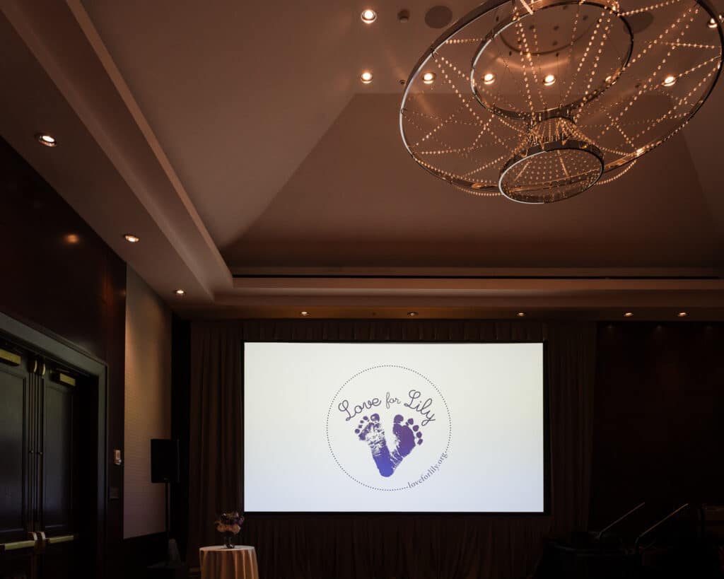 Love for Lily Benefit: Boots & Bling 2023 - Anne Stephenson Photo ...