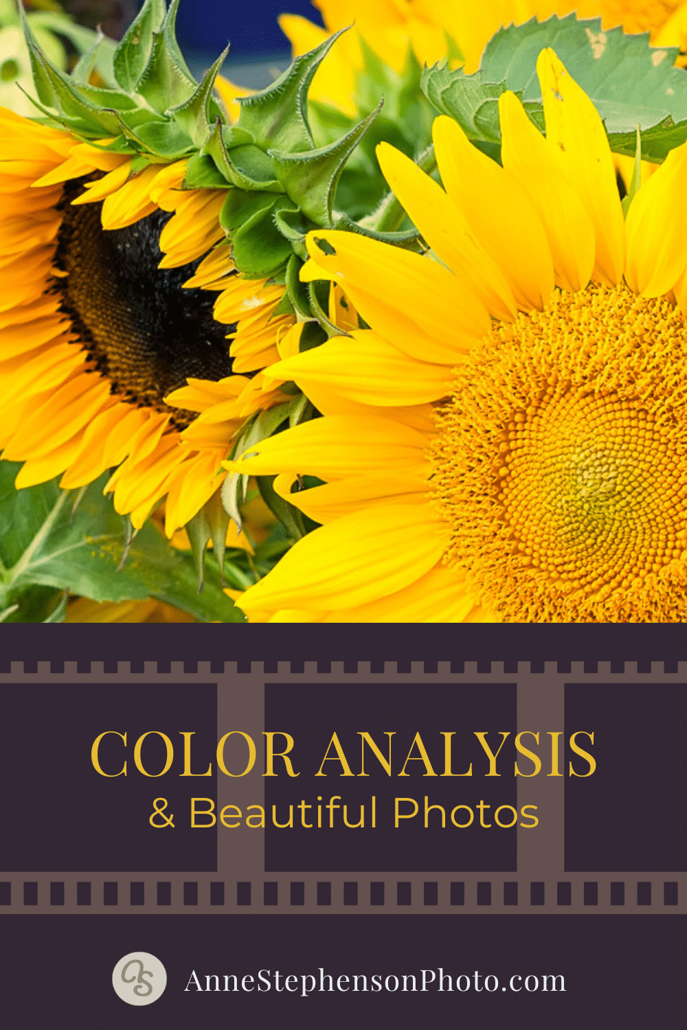 Color Analysis for Wedding and Portrait Photography: My Story
